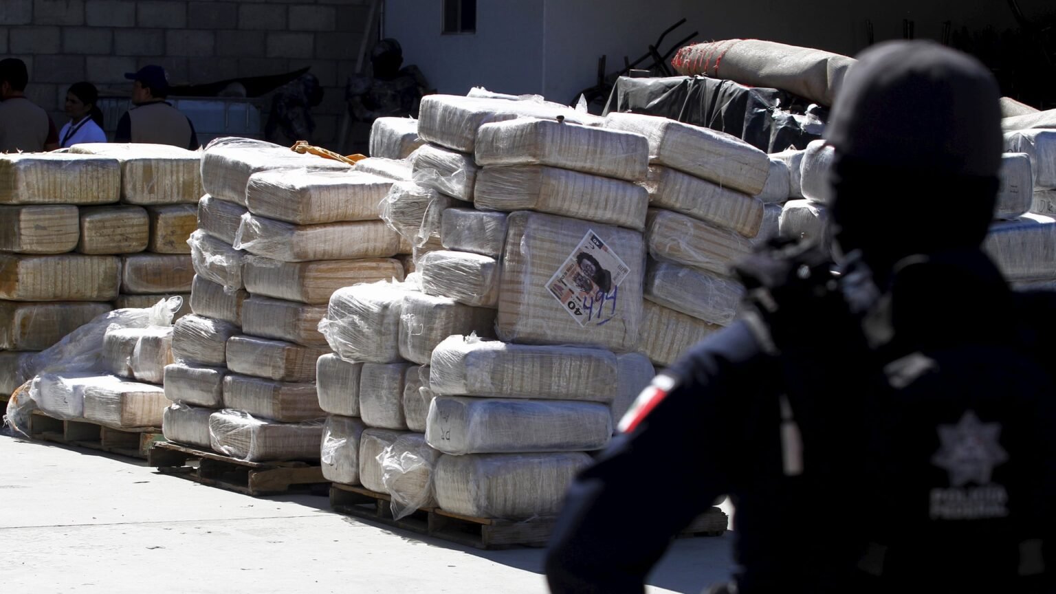 Policía Montada de Canadá detecta la operación de 7 cárteles latinos en ...
