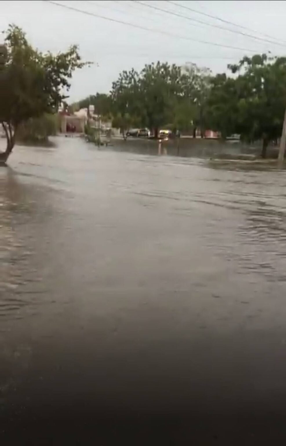 Lluvias paralizan el sistema educativo en Yucatán